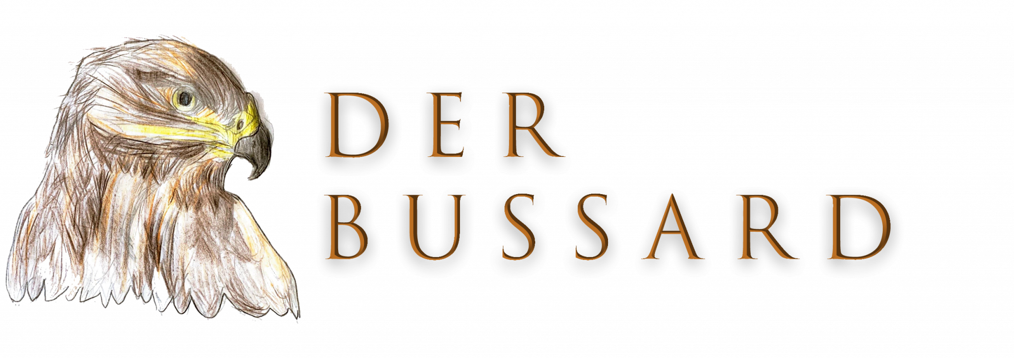 Rose Laurens: Das französische Chanson der Achtziger – Der Bussard | DE